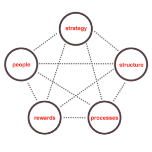Org Charts and Organizational Design: Need Help? | Organimi