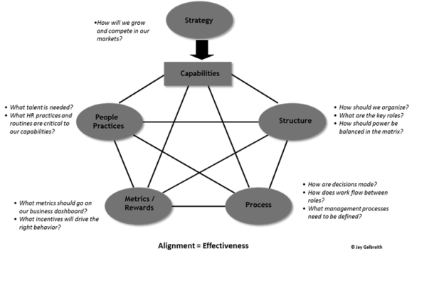 Effective Organizational Design: Defining Form and Function