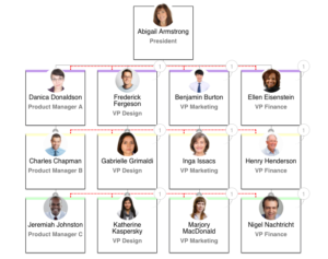 Organizational Charts: Overview for Beginners | Organimi