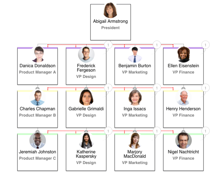 Organizational Charts: Overview for Beginners | Organimi