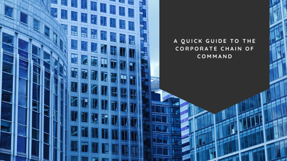 A Quick Guide to the Corporate Chain of Command - Organimi