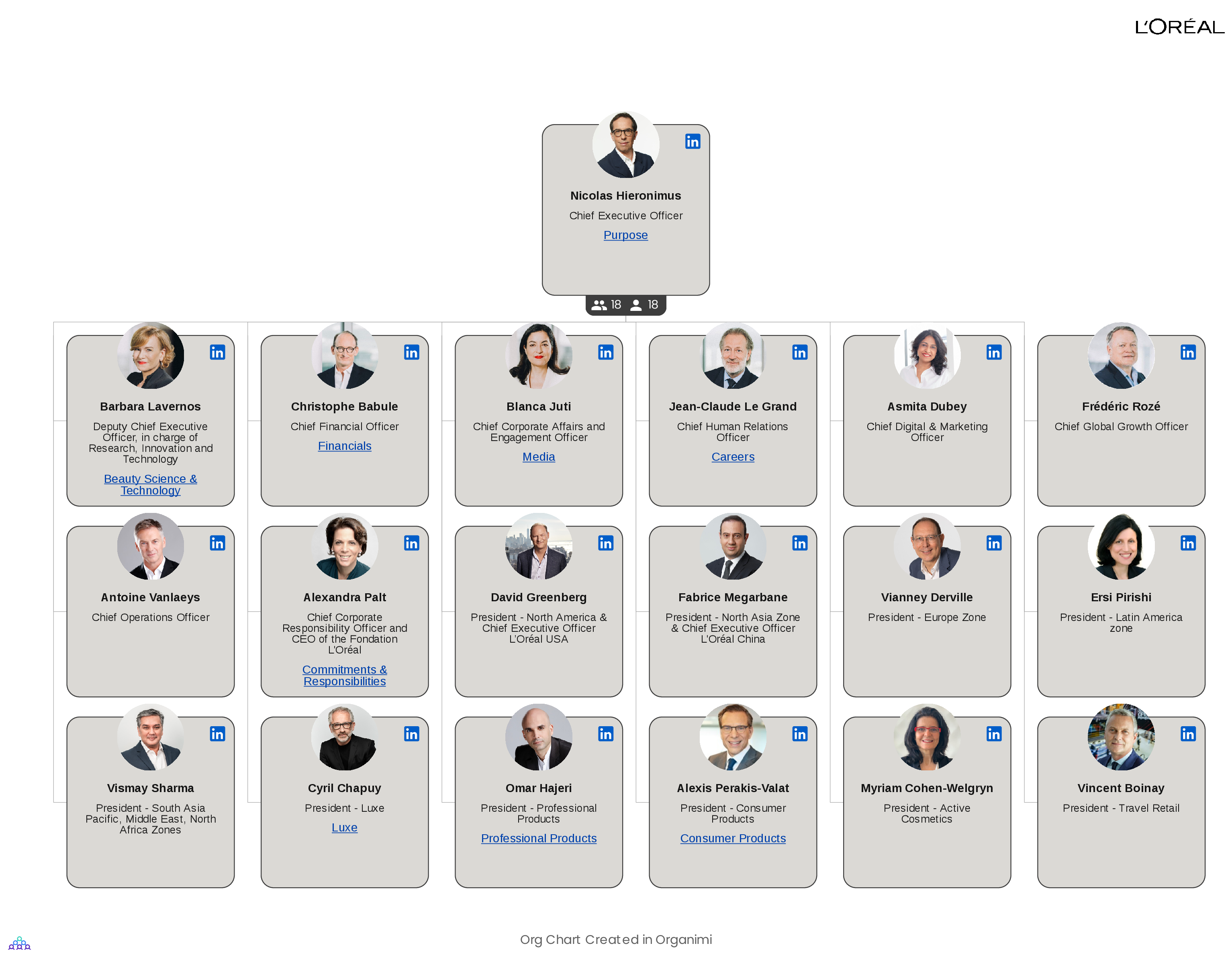 L'Oréal's Organizational Structure [Interactive Chart] Organimi