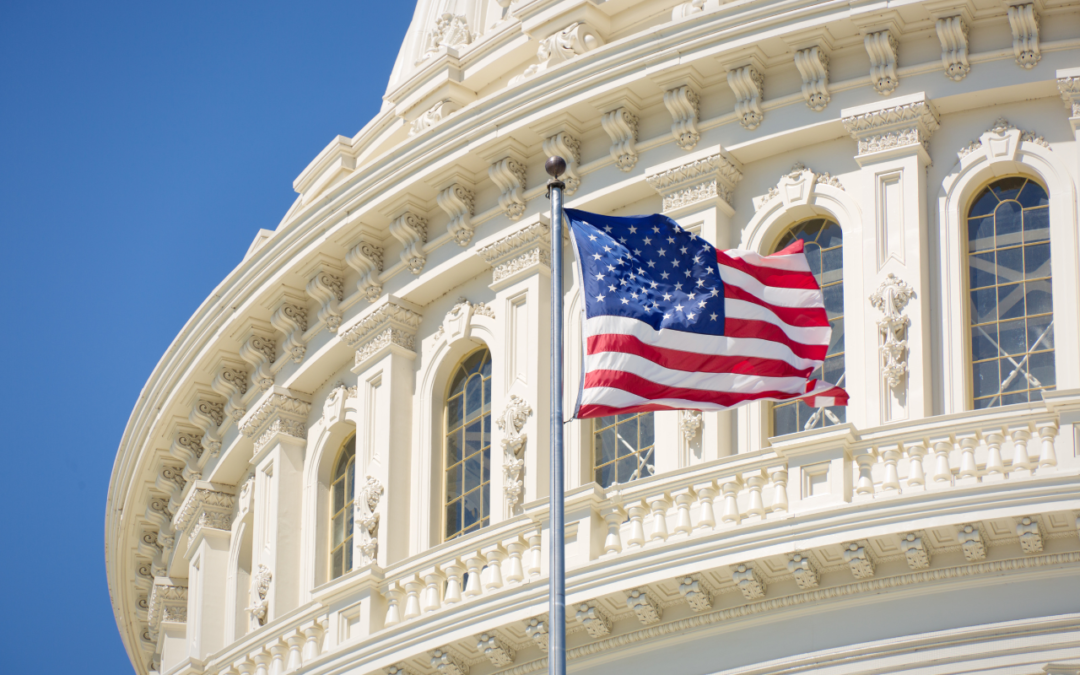 U.S. Government Organizational Structure - How to Create One