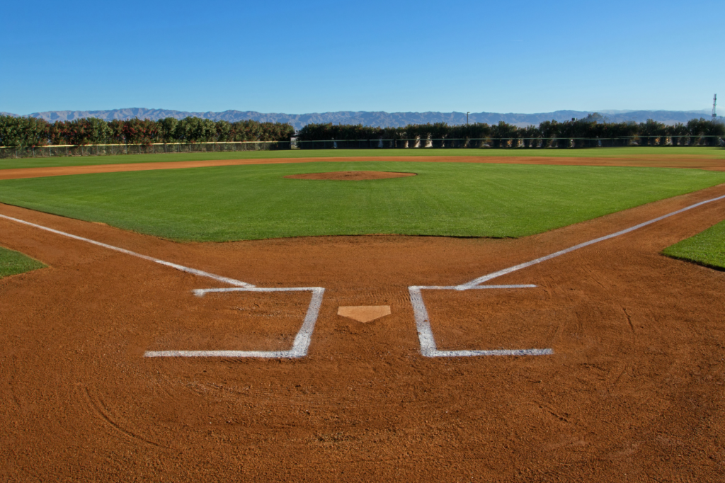 Baseball Team Organizational Structure Template - How to Create One