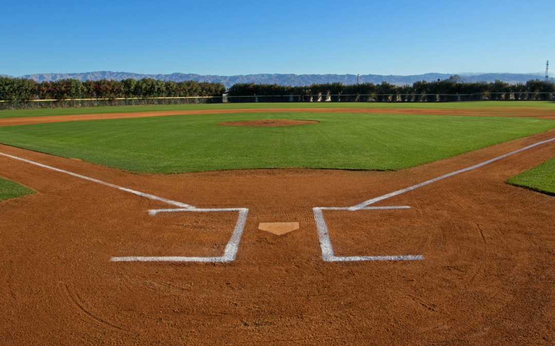Baseball Team Organizational Structure Template - How to Create One
