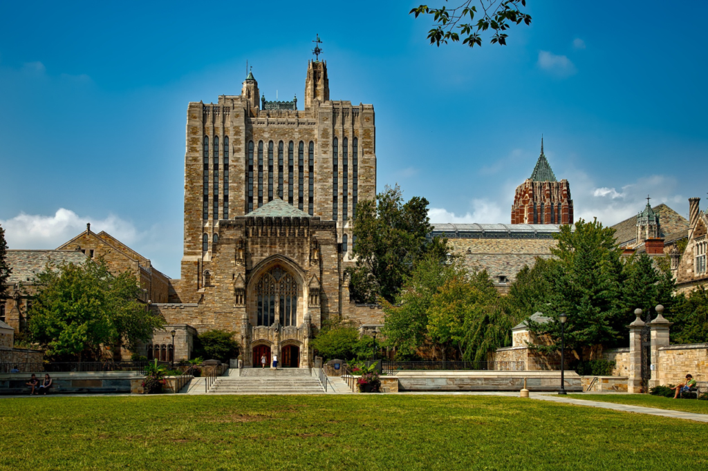 University Organizational Structure Template - How to Create One